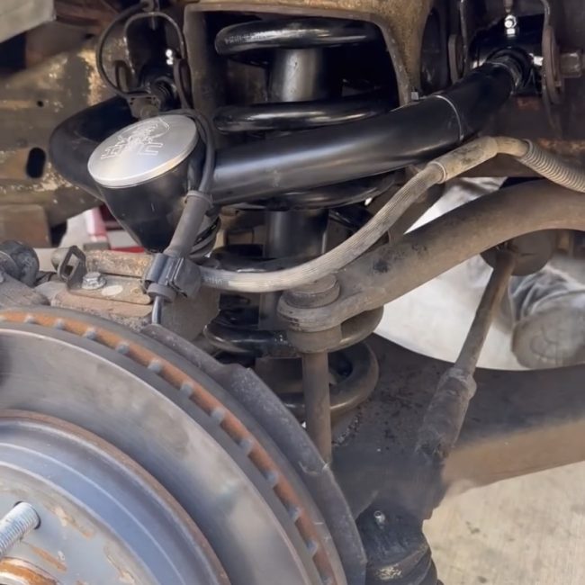 IHC Suspension | Shop